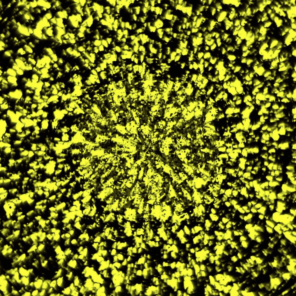 Alpha Wave NFT Visions: Audio-Reactive Generative Art Collection